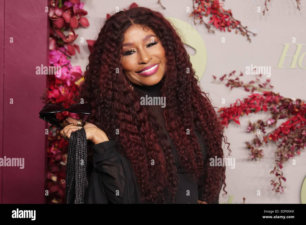 Chaka Khan attends the THR x Spotify Nominees Night ay The Lot at ...
