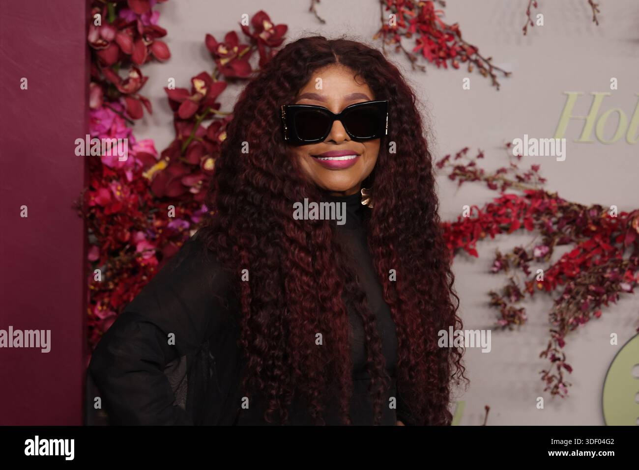 Chaka Khan attends the THR x Spotify Nominees Night ay The Lot at ...