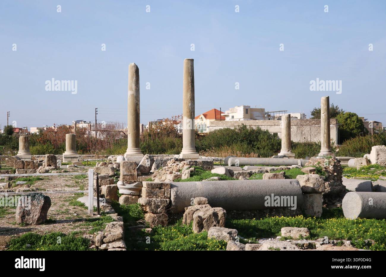 Shots of al Bass archaeological site, Tyr, South Lebanon, January 8 ...