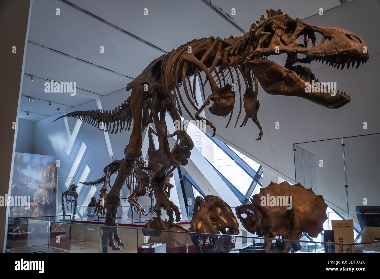 Royal Ontario Museum (ROM), Toronto, Canada. Iconic Michael Lee-Chin ...