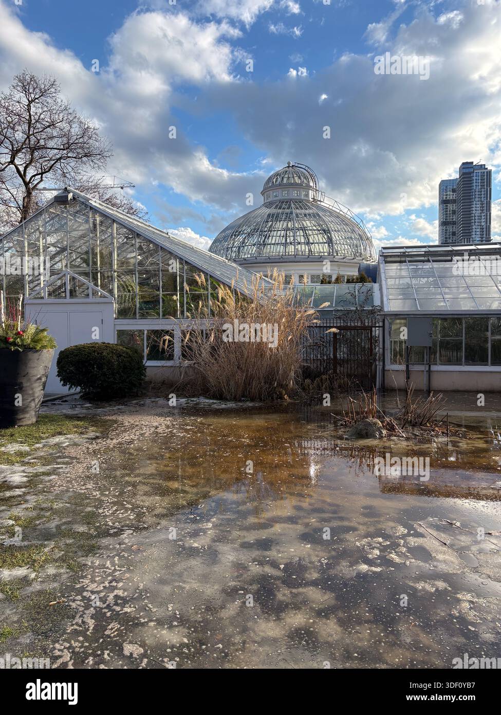 Allan Gardens Conservatory in Toronto, Canada. Historic glass botanical ...