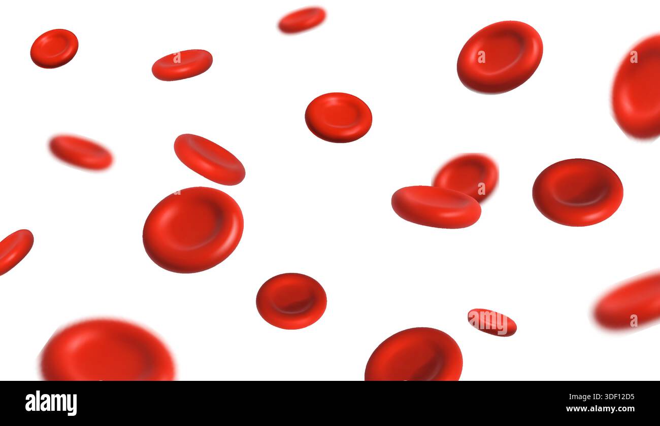 realistic vector background. Blood cells flowing on white background ...