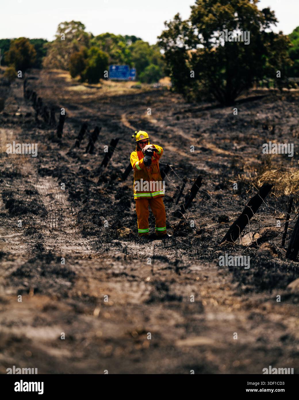 CFA firefighters work to contain a highway-side grassfire near the ...