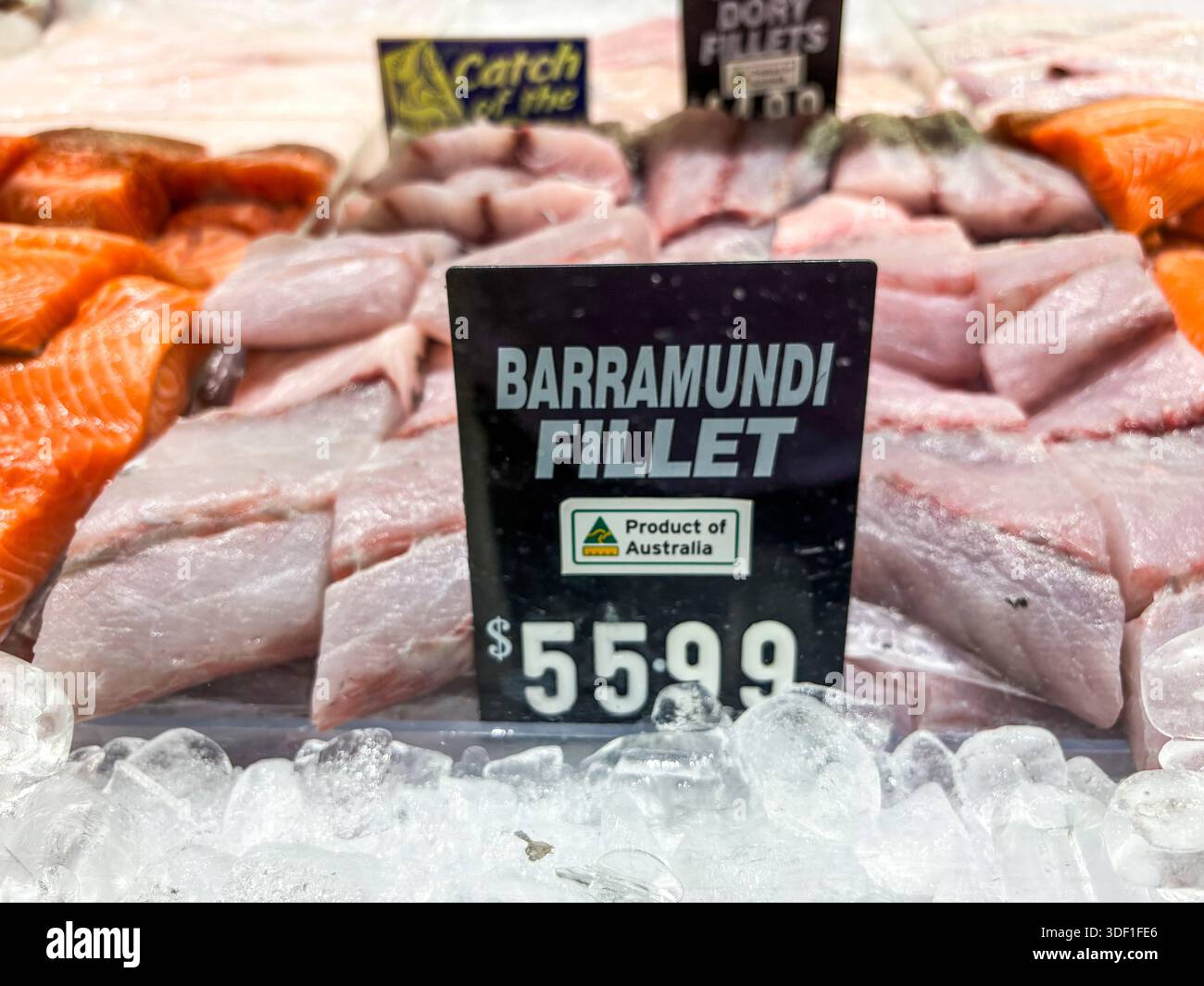 Giant sea perch lates calcarifer hi-res stock photography and images ...