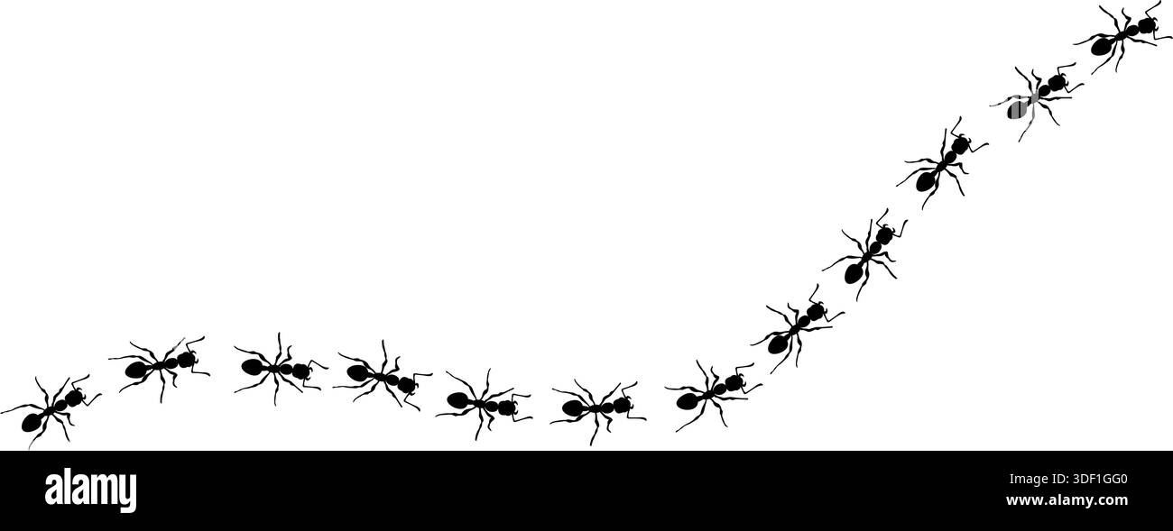 simple editable ant trail path pattern brush vector illustration Stock ...