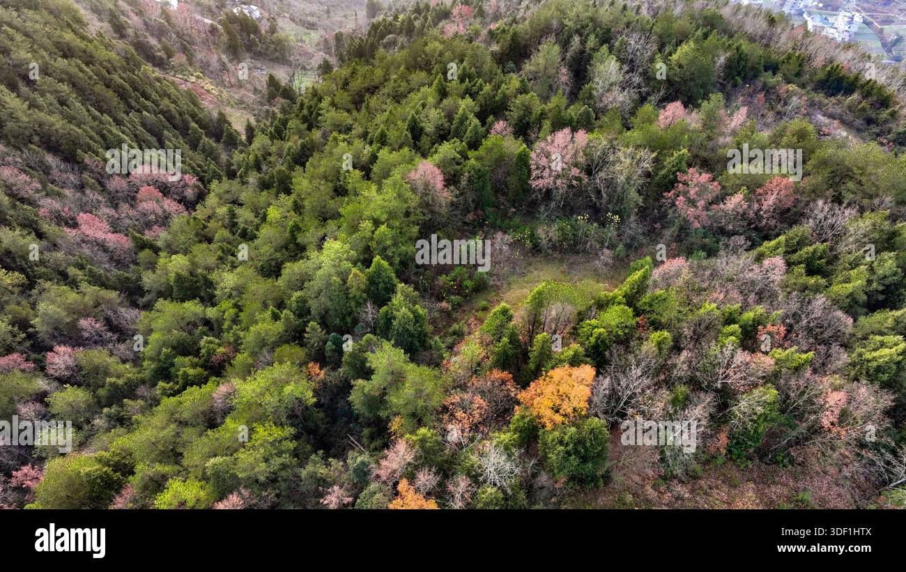 The morning sun rises over mountains as mist lingers in Dingshi Town ...