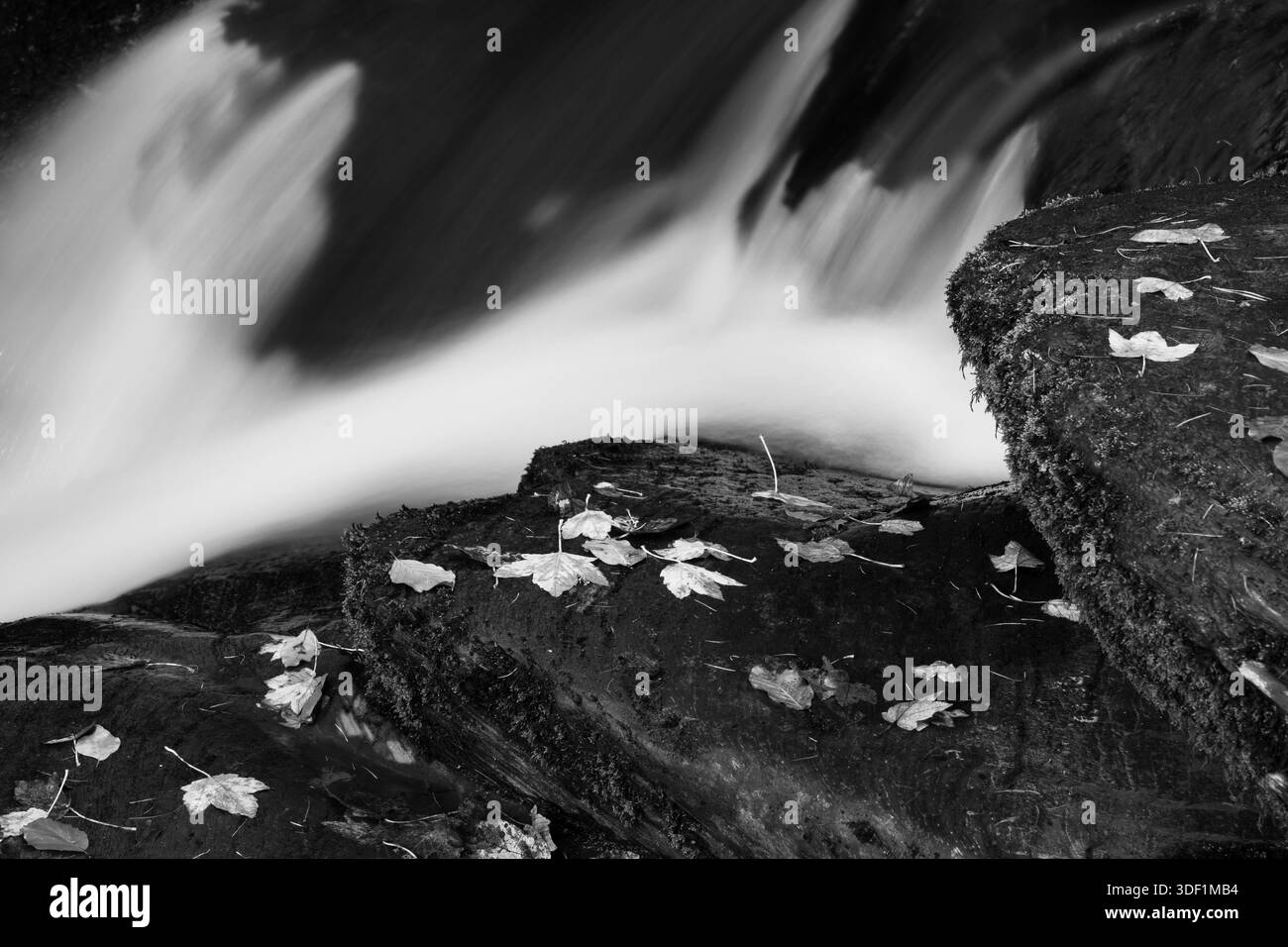 Water slick Black and White Stock Photos & Images - Alamy