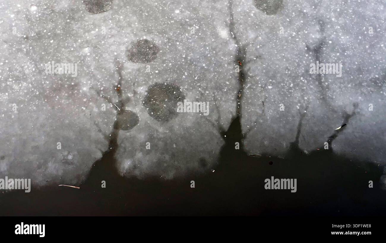 Texture Ice at the edge of a pond Stock Photo - Alamy