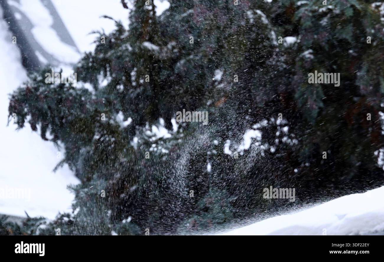 Winter 10.01.2026, Ostramondra, Sturmtief Elli zieht ueber das Land ...