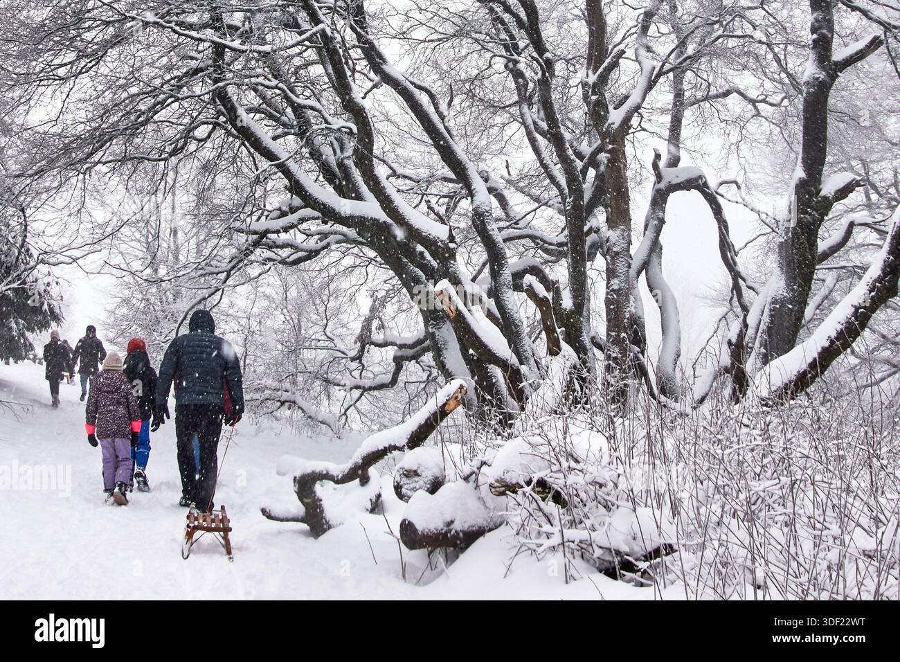 People walk past a snow covered tree on the Feldberg mountain near ...