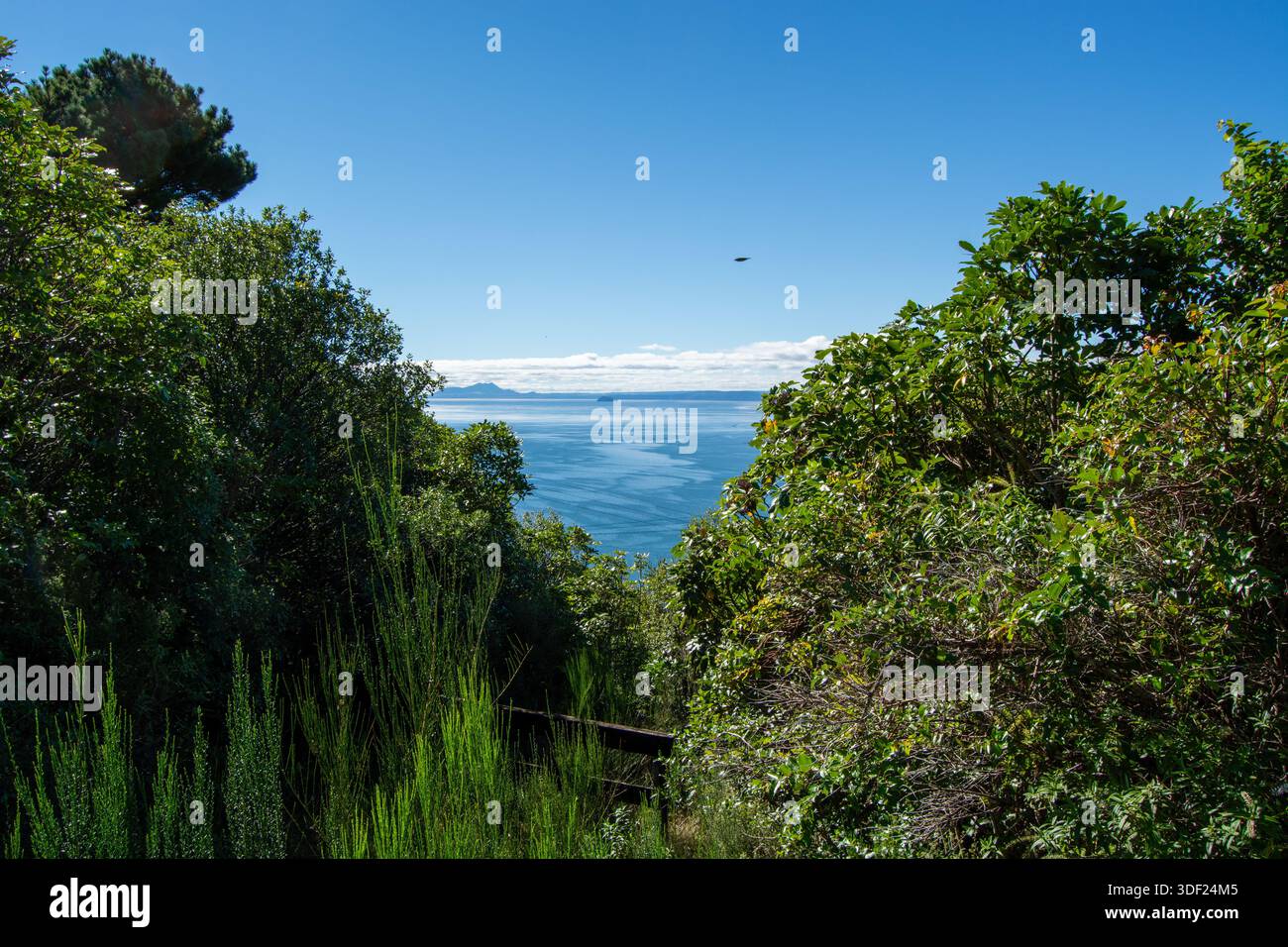 A scenic view of a tranquil ocean surrounded by lush greenery under a ...