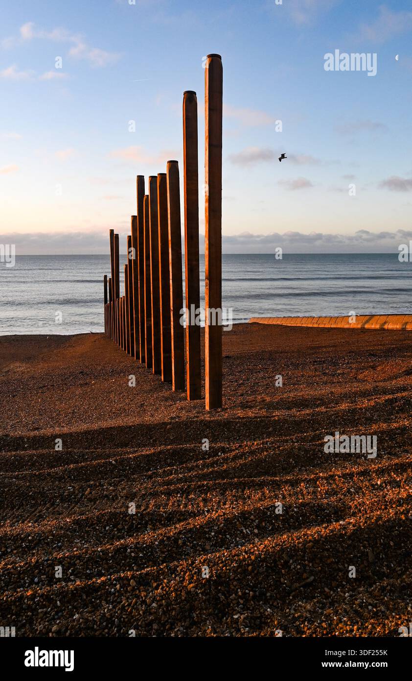 Brighton UK 10th January 2026 - New timber groynes are being put up on ...