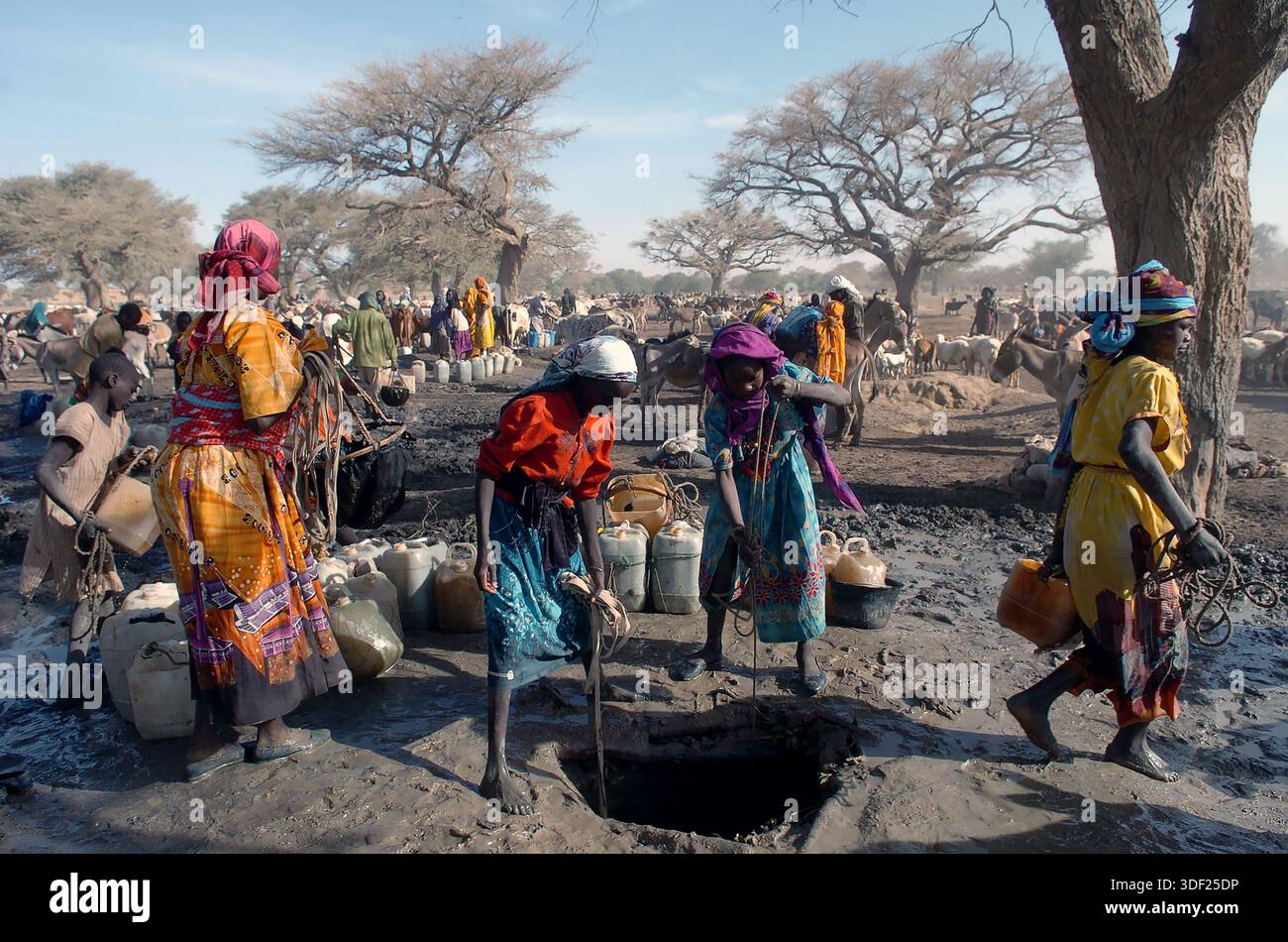 15/06/04. Chad, Africa. Civil war and drought. Refugees fleeing ...