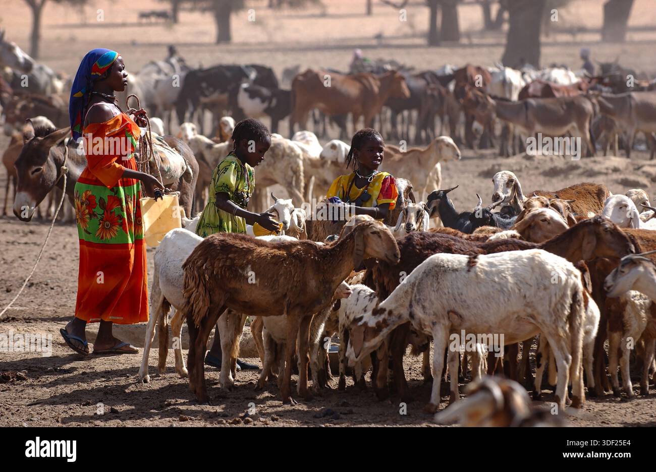 15/06/04. Chad, Africa. Civil war and drought. Refugees fleeing ...