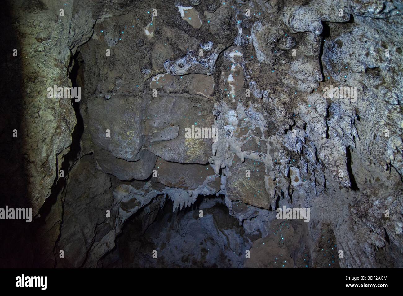A close-up view of a cave wall featuring various rock formations ...