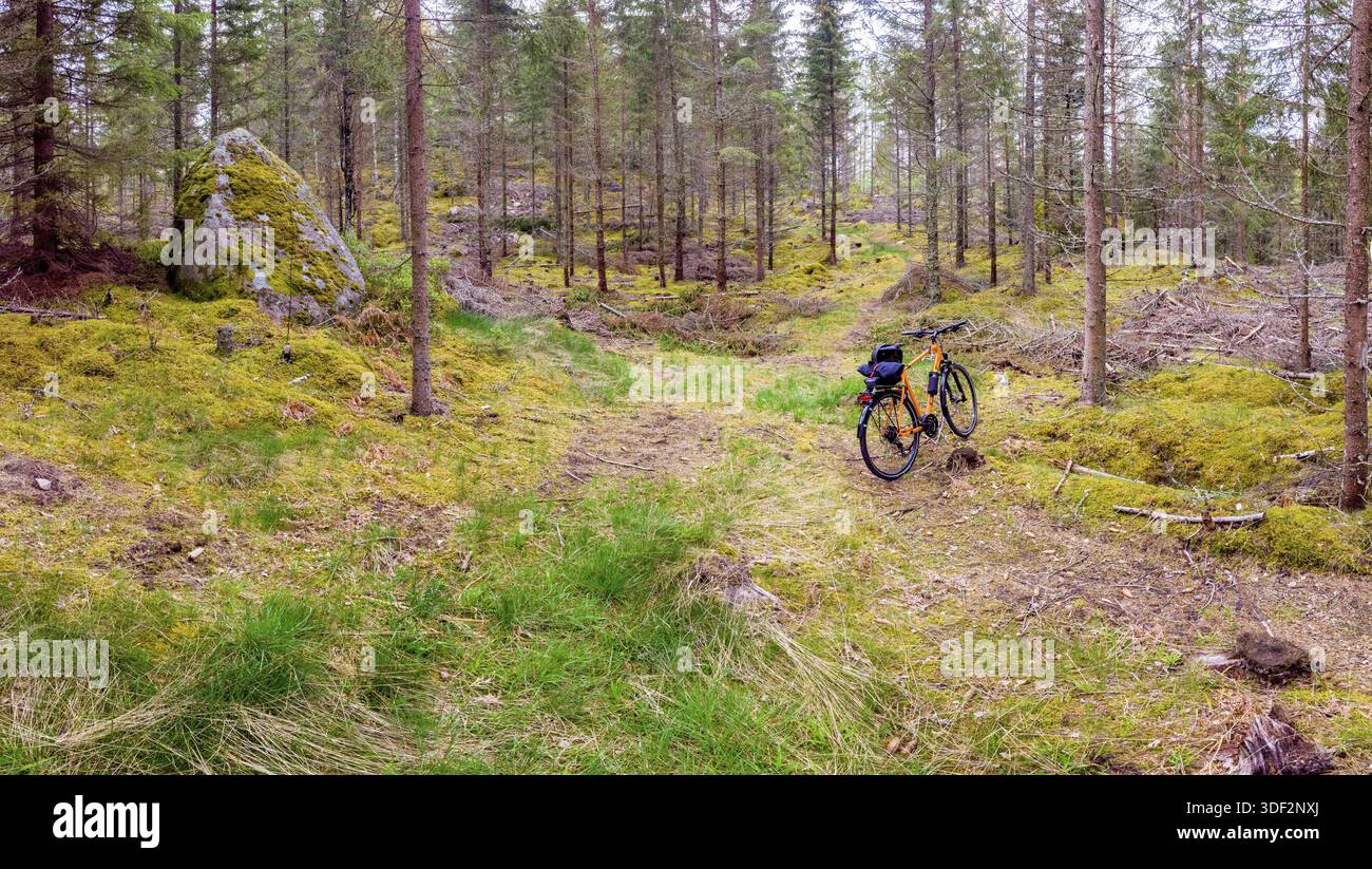 Trekking path in the forest with a parked bicycle Stock Photo - Alamy