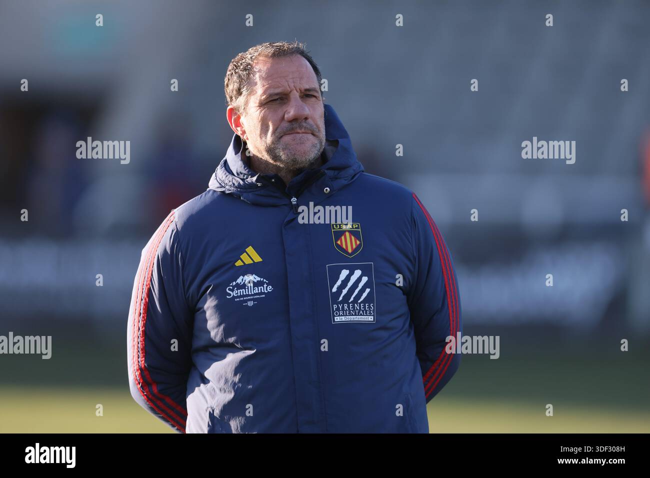 Perpignan manager Laurent Labit ahead of the ECPR Challenge Cup match ...