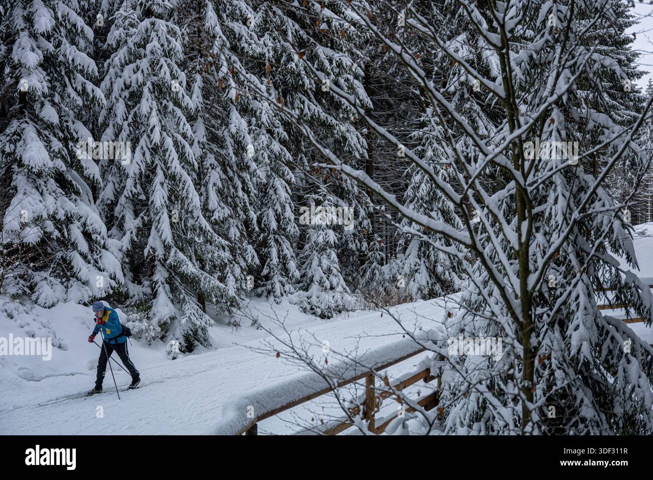 Cross country skiers enjoy heavy snowfall in Jizera Mountains, near ...