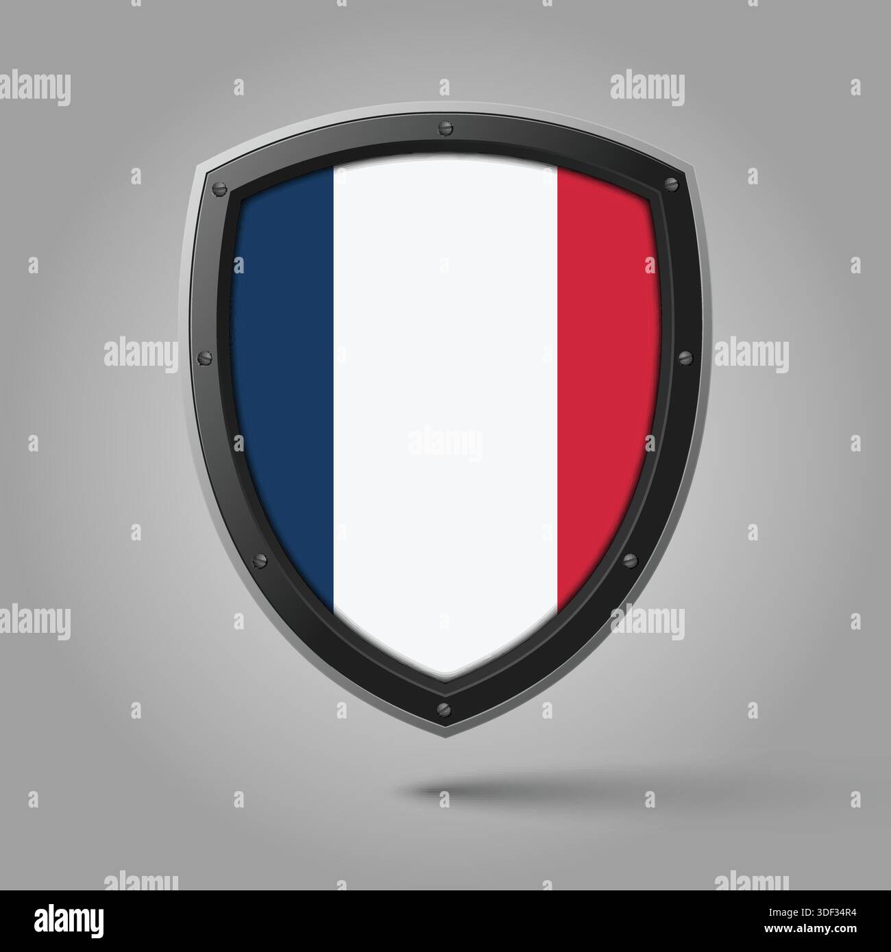 National Shield of FRANCE Flag with Original color Stock Vector Image ...