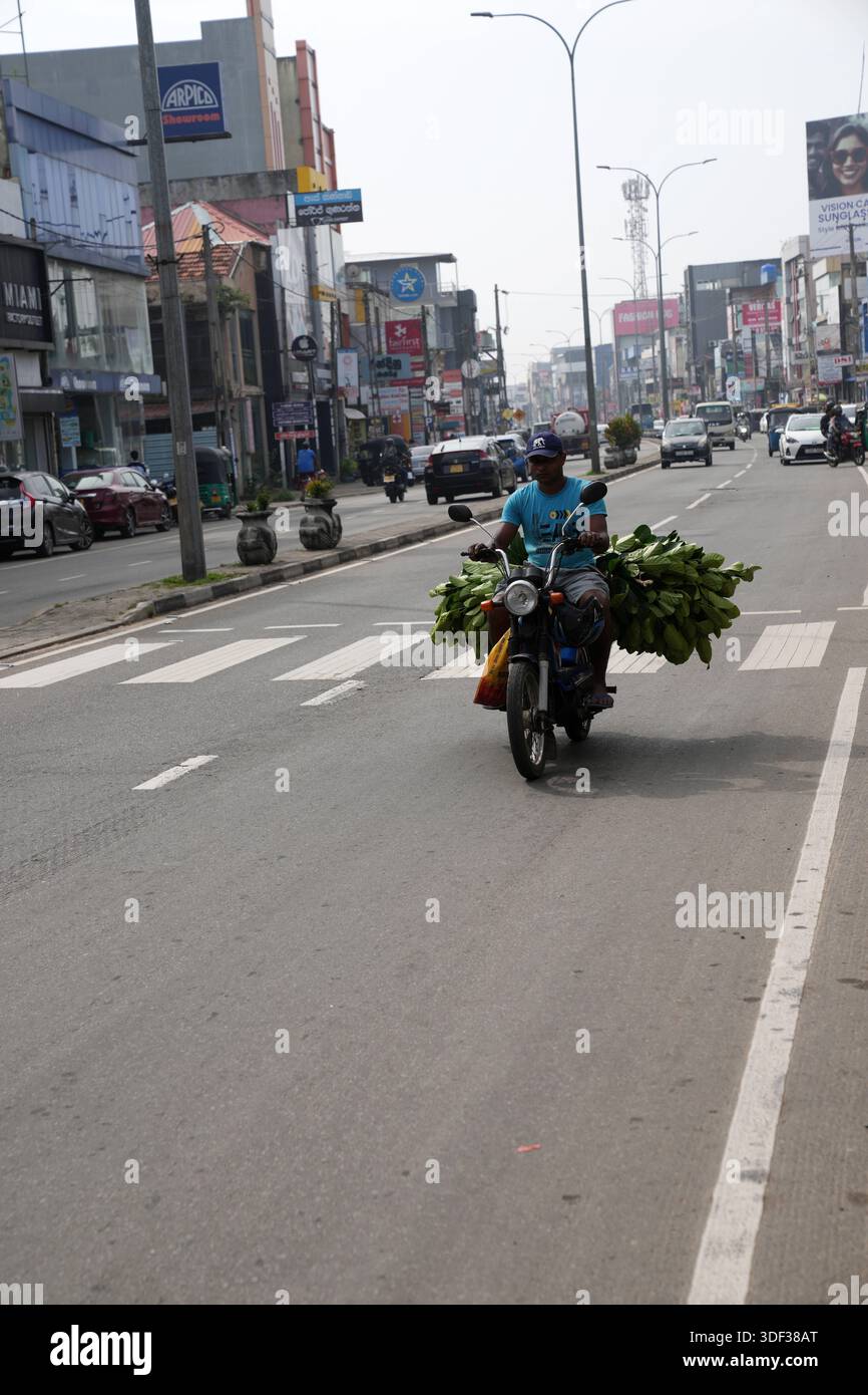 Strassenverkehr Sri Lanka, 20251226, Strassenverkehr *** Road traffic ...