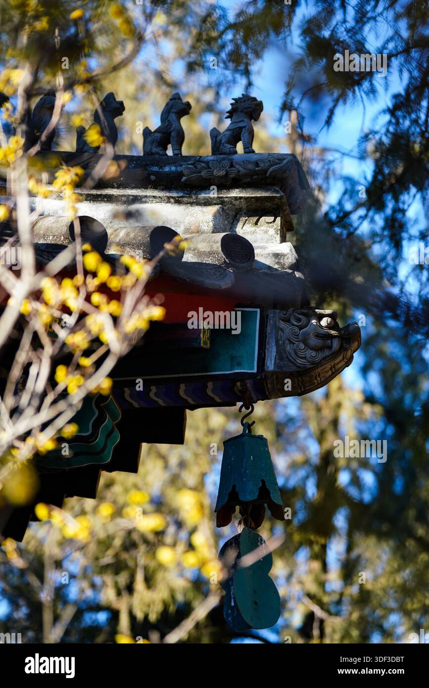 (260110) -- BEIJING, Jan. 10, 2026 (Xinhua) -- This photo taken on Jan ...