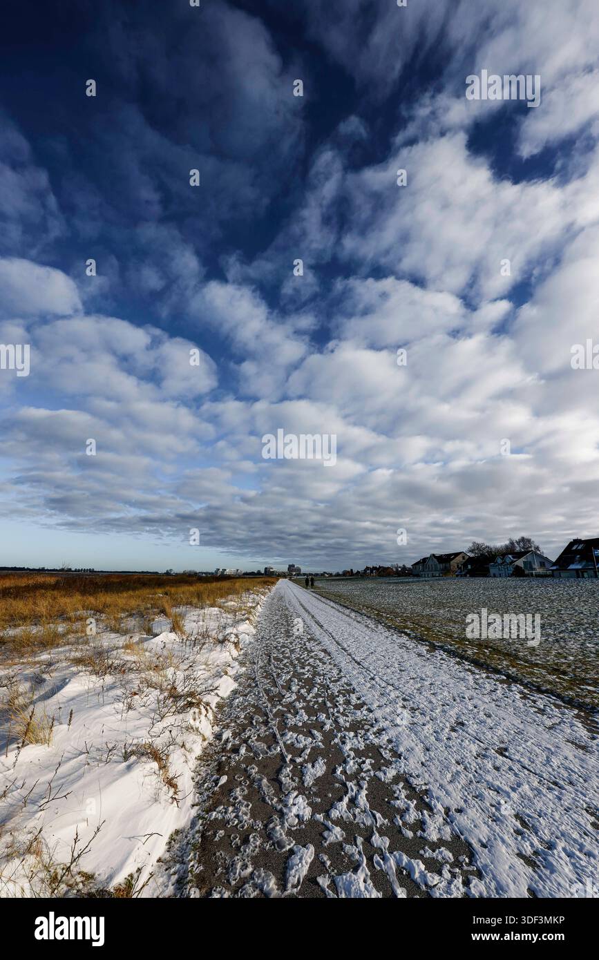 10 January 2026, Schleswig-Holstein, Stein: A meadow on the shore is ...