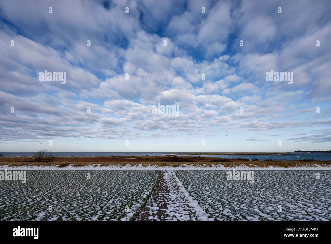 10 January 2026, Schleswig-Holstein, Stein: A meadow on the shore is ...
