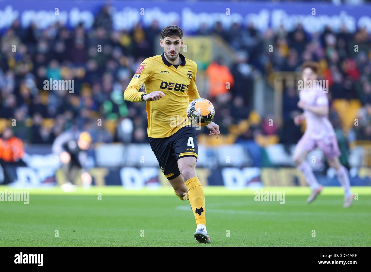 Bueno wolves hi-res stock photography and images - Alamy