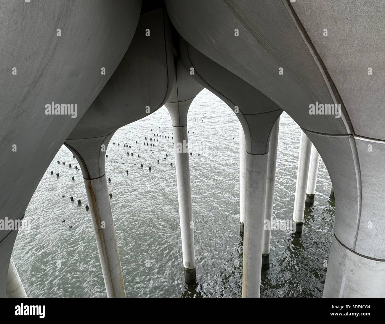 Tulip shaped concrete pillars hi-res stock photography and images - Alamy