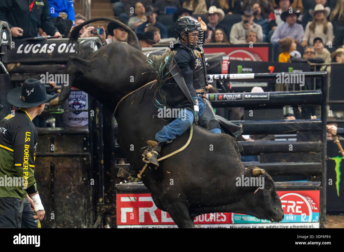 NEW YORK, NEW YORK - JANUARY 09: Keyshawn Whitehorse rides Nasubi ...