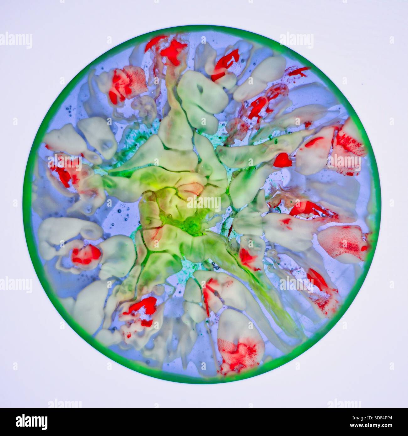 Mixture of wonderful colors in a circle shape. Waht do you se inside ...