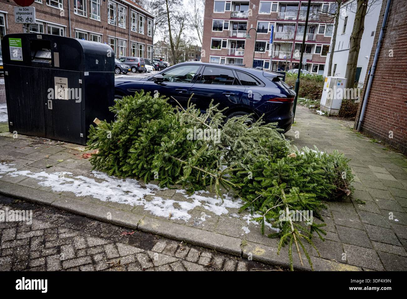 GOUDA - Christmas trees in the household waste ROBIN UTRECHT /ANP ...