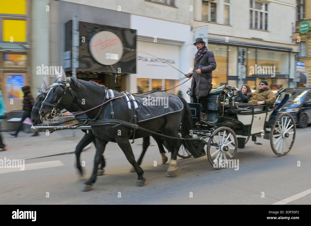 Pferdekutsche Fiaker, Wien, Österreich *** Horse-drawn carriage Fiaker ...