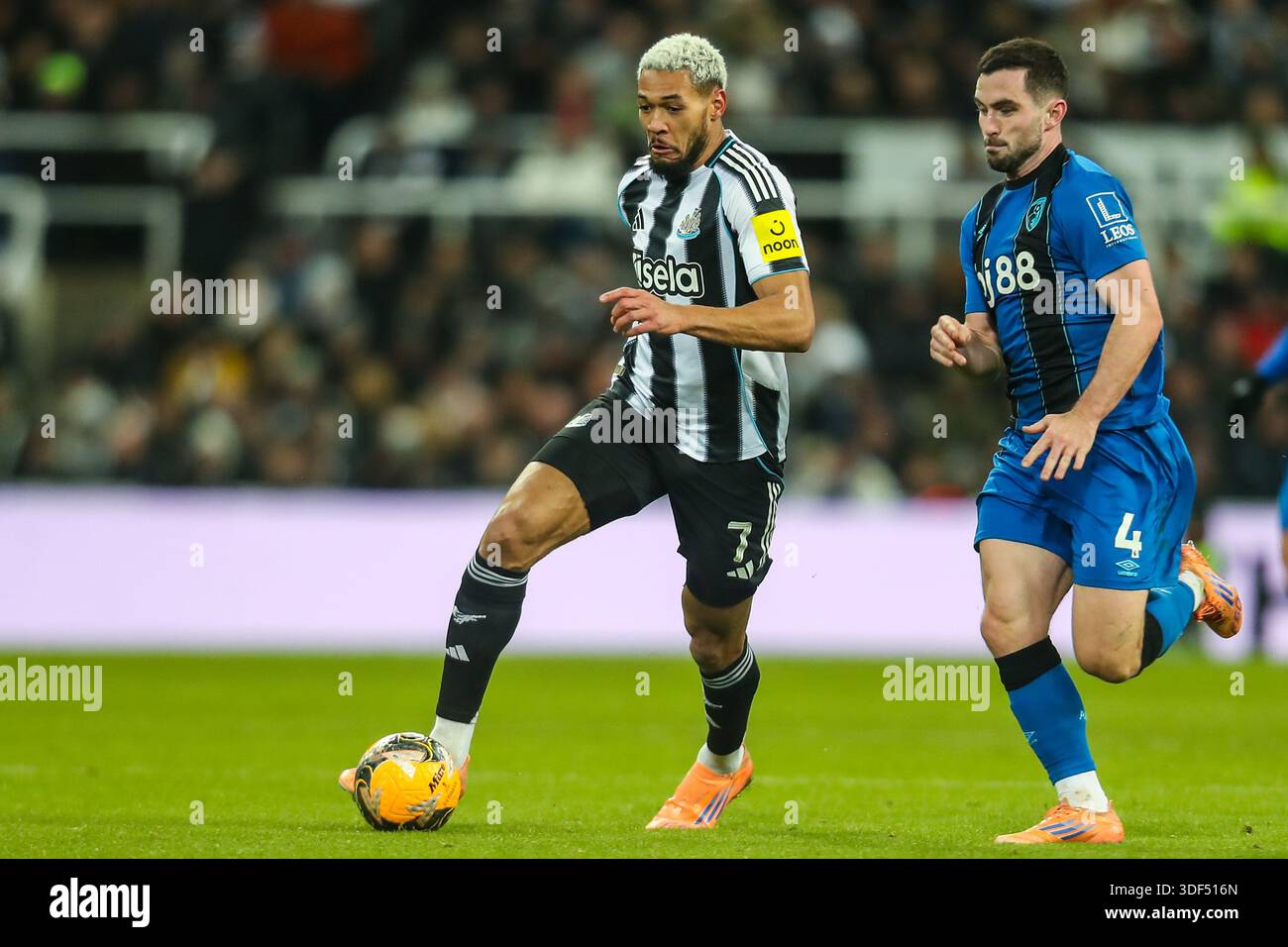Joelinton Of Newcastle United in action during the Newcastle United v ...
