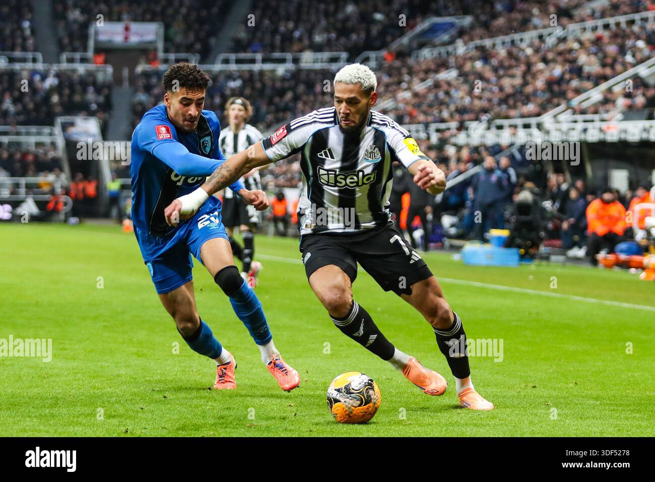 Joelinton Of Newcastle United in action during the Newcastle United v ...