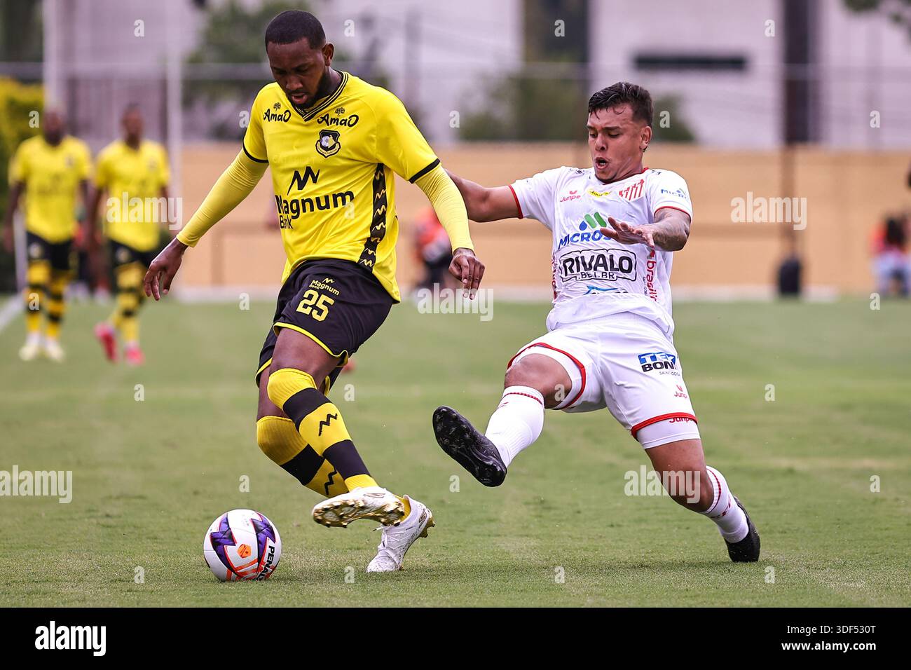 SP - SAO BERNARDO DO CAMPO - 10/01/2026 - PAULISTA 2026, SAO BERNARDO x ...