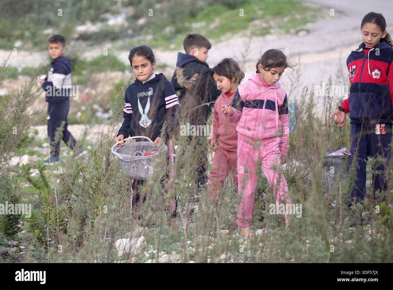 Palestinian children collect empty cola cans near the Jewish settlement ...