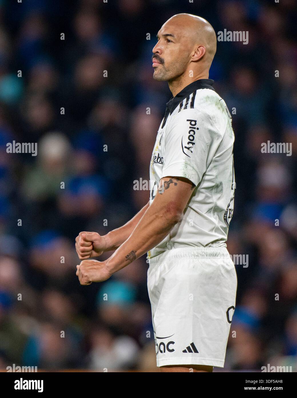 Dillyn Leyds of Stade Rochelais during the Investec Rugby Champions Cup ...