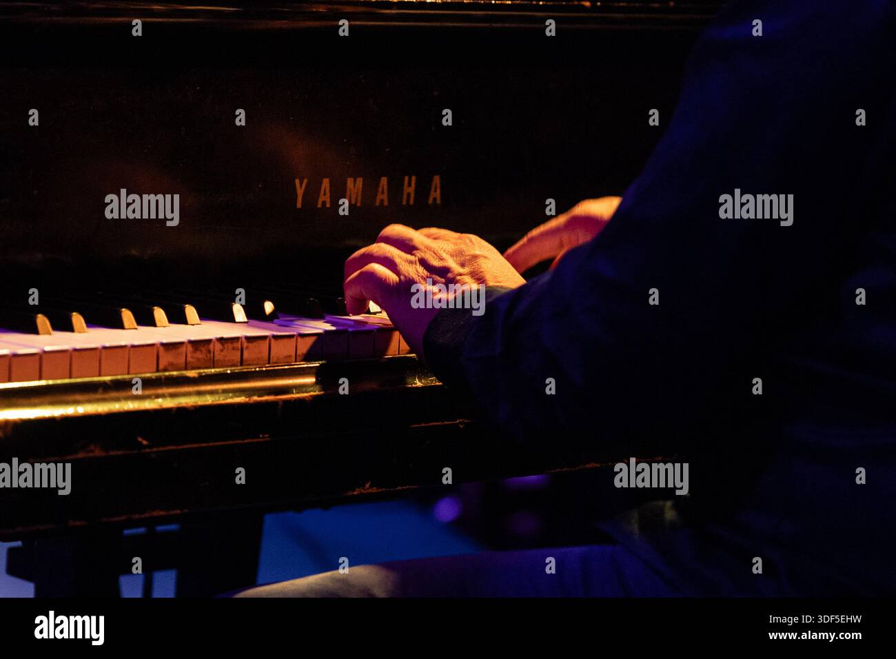 Mario Canonge trio with Michel Alito on double bass and Arnaud Dolmen ...