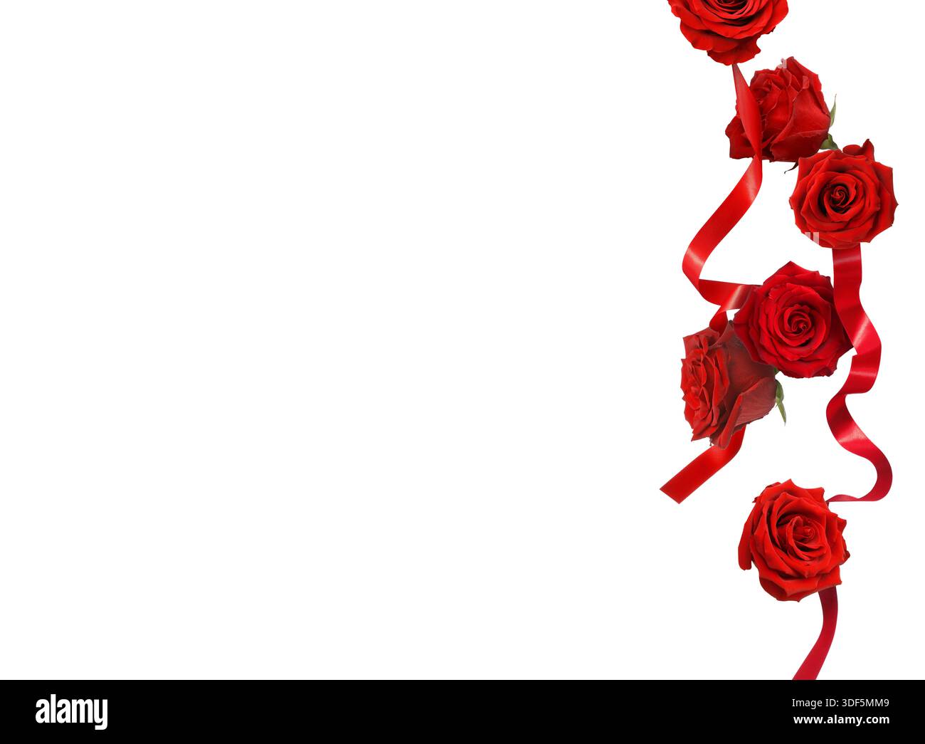 Beautiful roses red ribbons hi-res stock photography and images - Alamy