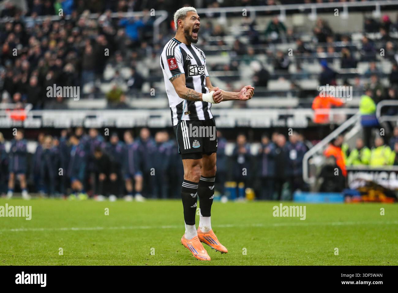 Joelinton Of Newcastle United during the Newcastle United v AFC ...