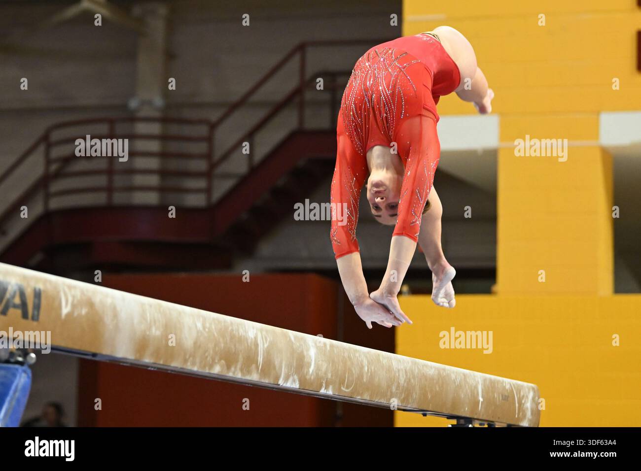 Arkansas' Allison Cucci competes on the balance beam against Minnesota ...