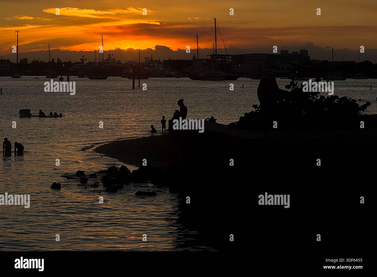 People swim at sunset near the Phil Foster snorkel trail, Saturday, Jan ...