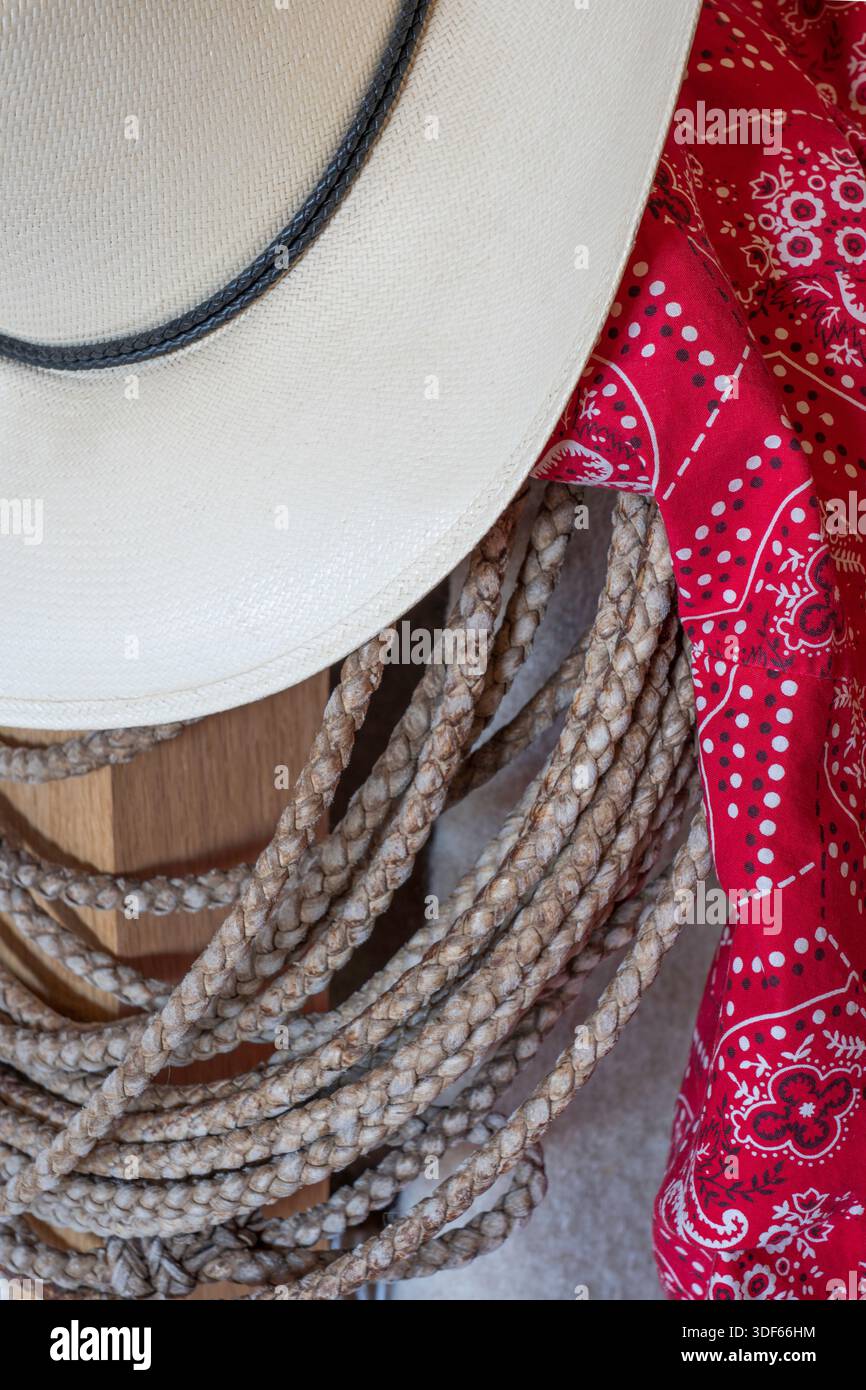 Roping cattle with lariat, cowboy hat, & red bandana is typical of ...