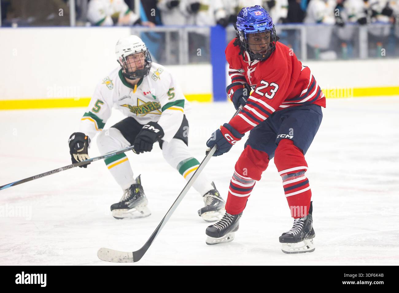 London,Canada. 10th January, 2026. The London Nationals defeat the St ...
