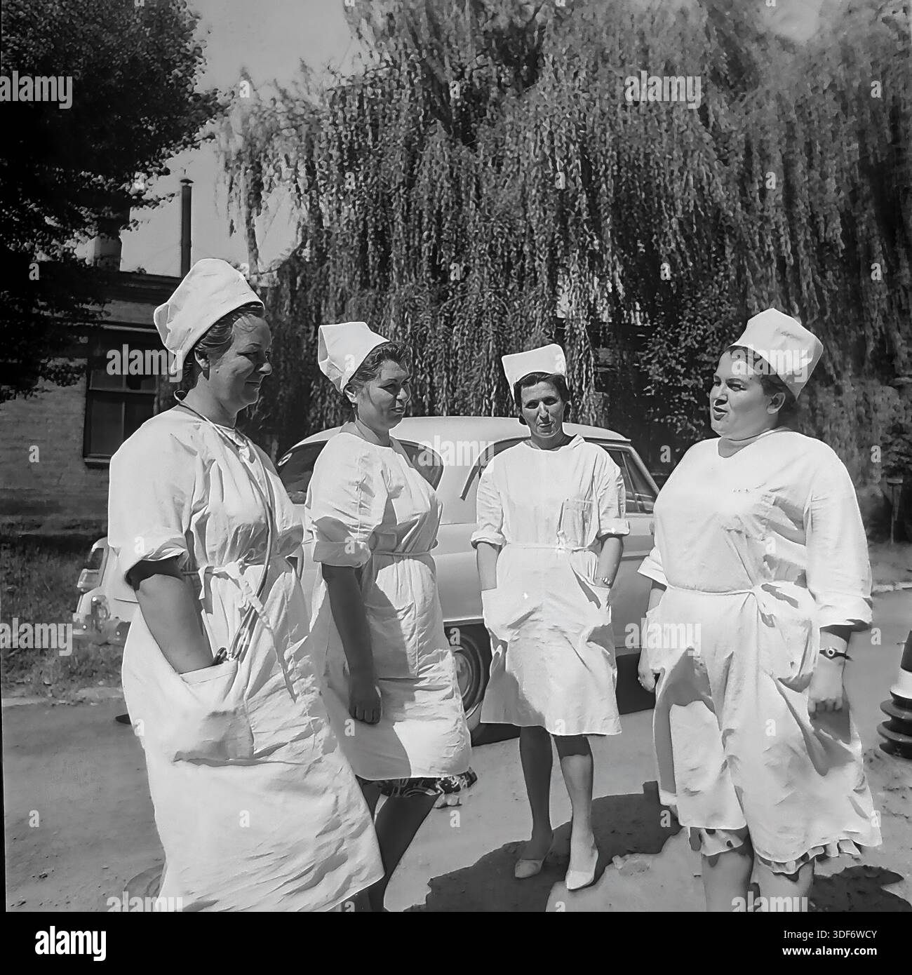Slaviansk, Ukrainian SSR, 1970s. A nostalgic outdoor group portrait of ...