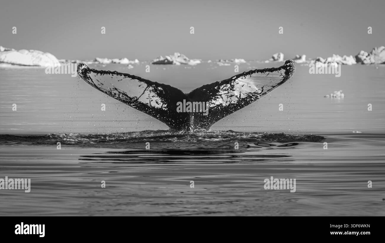 Landscape small ship in Black and White Stock Photos & Images - Alamy