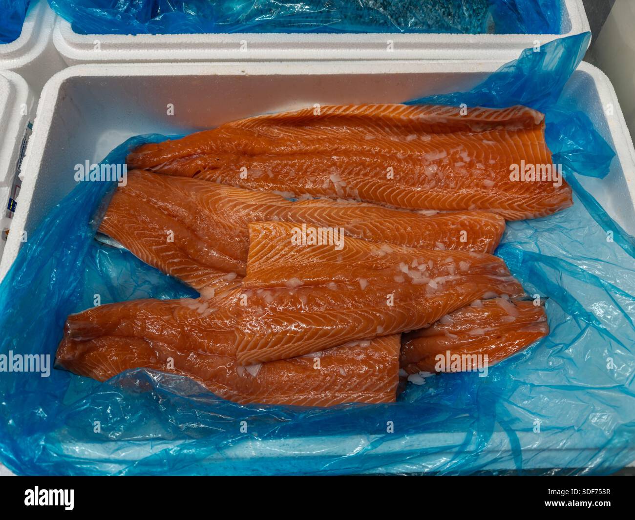 Fresh caught fish cut into fillets at the fish market, salmon packed in ...