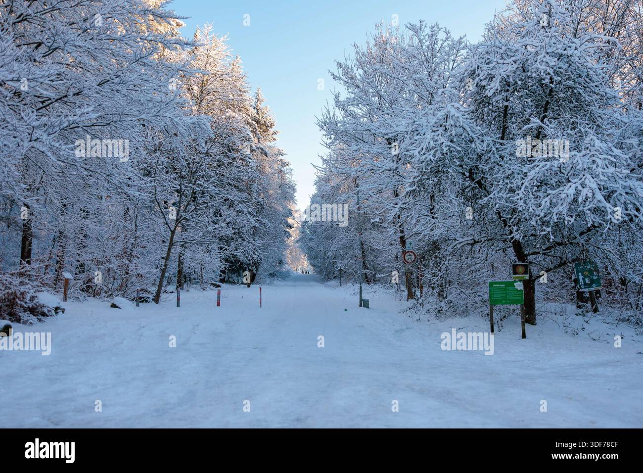 11 January 2026, Hesse, Wiesbaden: Snow-covered hiking trails at the ...