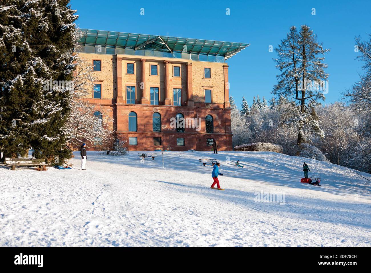 11 January 2026, Hesse, Wiesbaden: Children tobogganing on the slope of ...